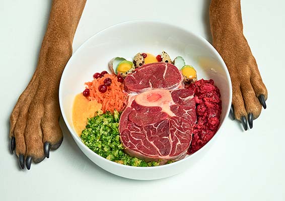 BARF idealny - Pies z charakterem